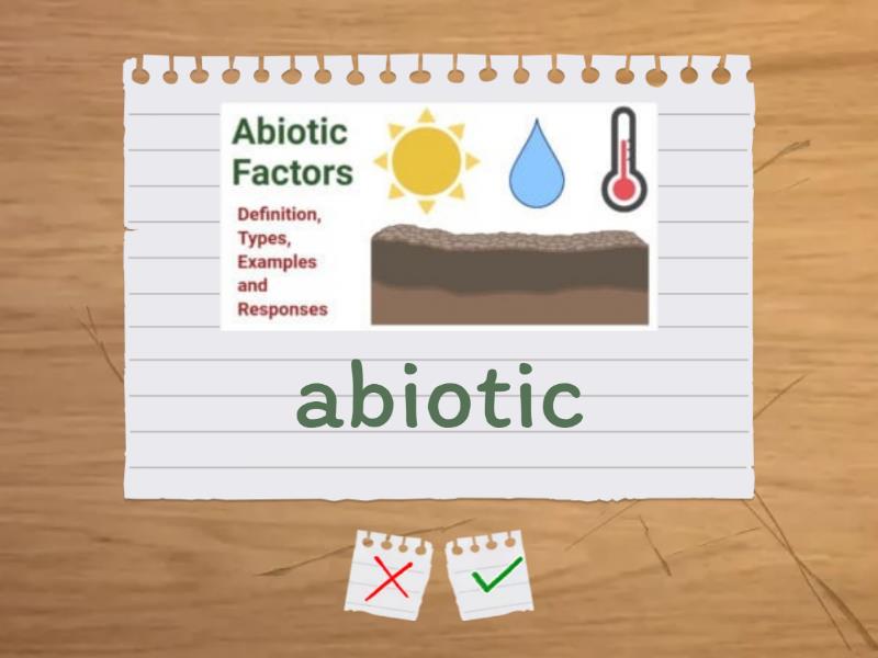 Science Vocabulary-Populations and Biomes-Daniel Frezinsky - Flash cards