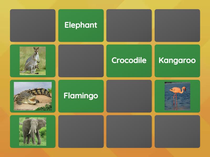 Animals Unit 4 - Matching pairs