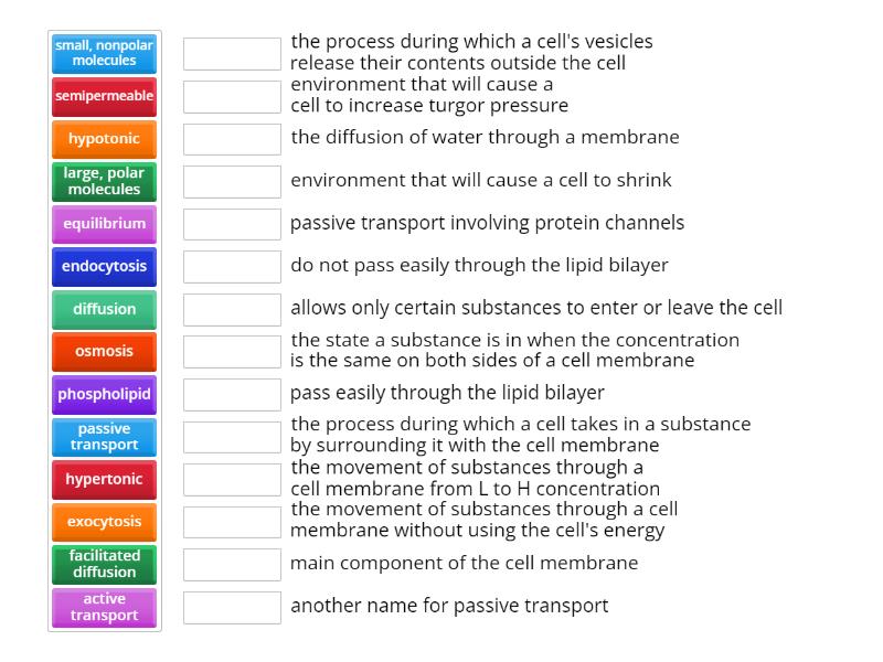 CELL TRANSPORT - Match up