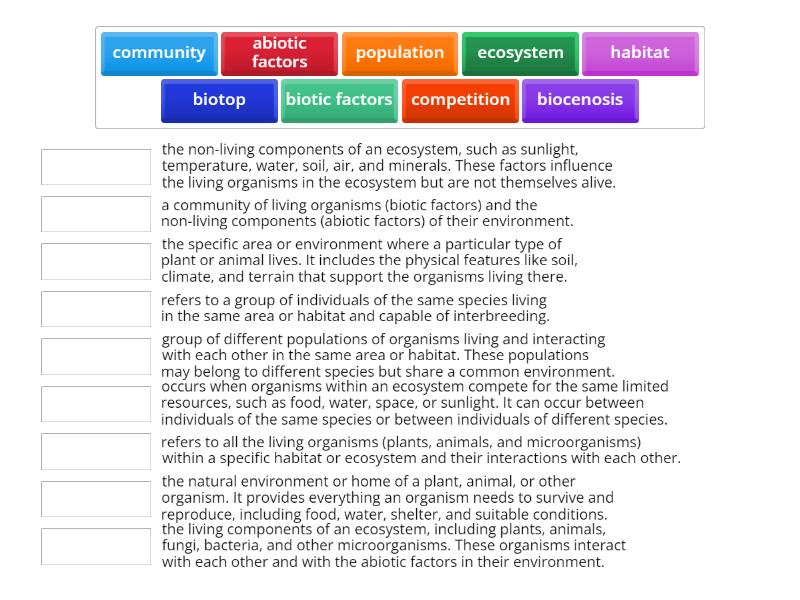 Keywords Ecosystem - Match up