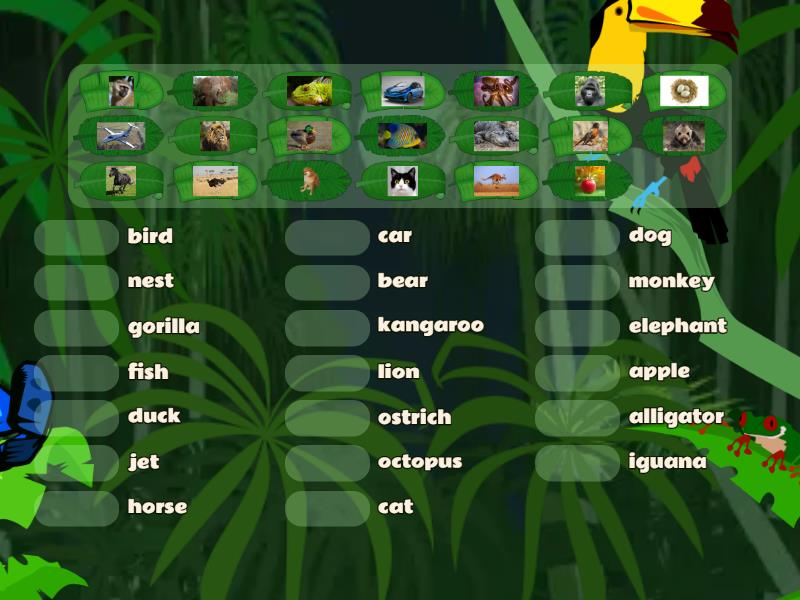 Phonics 1 - Match up