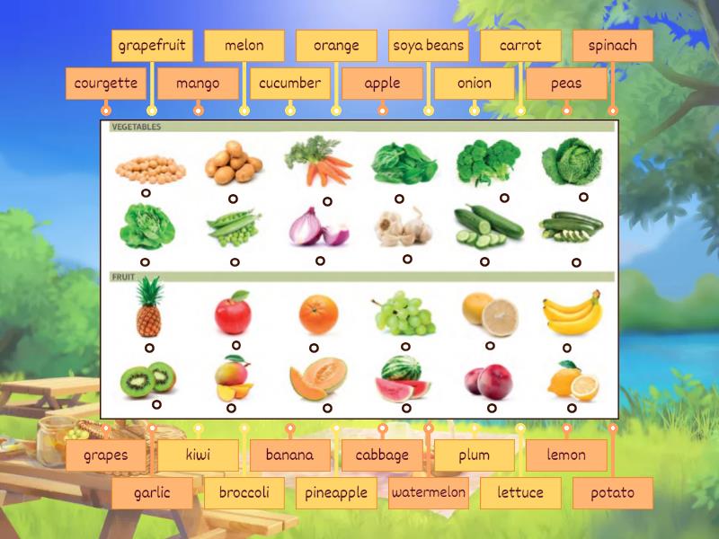 Food 2 (SO pre-inter) - Labelled diagram