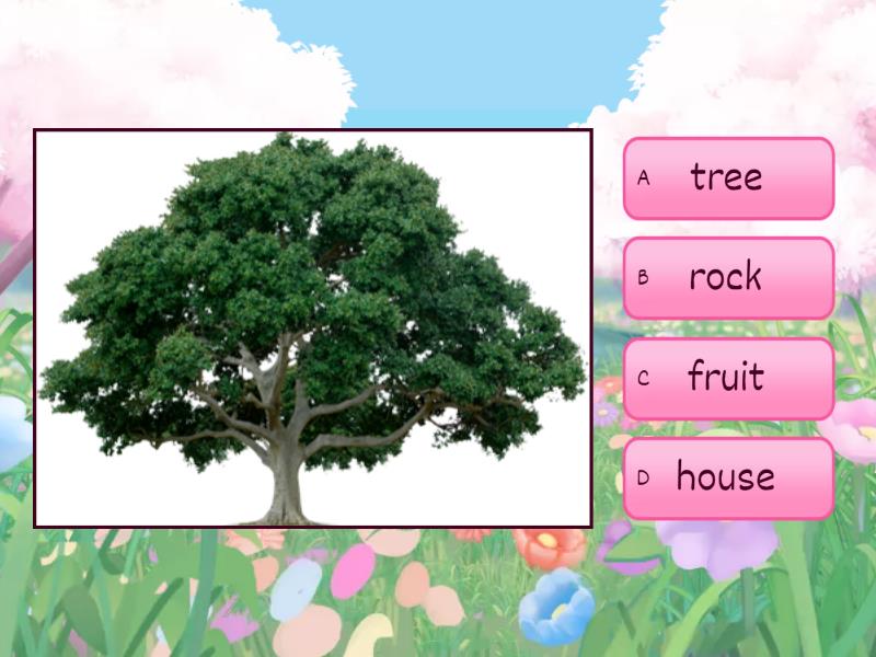 The Fruit Tree - Quiz