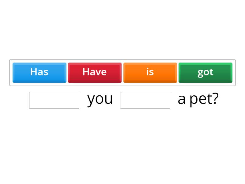 Have got/has got - questions - Complete the sentence