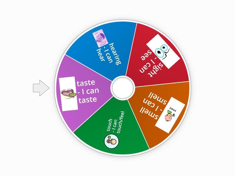 Five Senses Wheel - Spin the wheel
