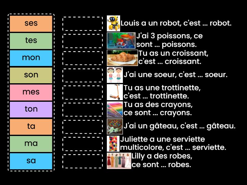 E204 - Possessifs (mon/ma/mes) - Phrases - Match up