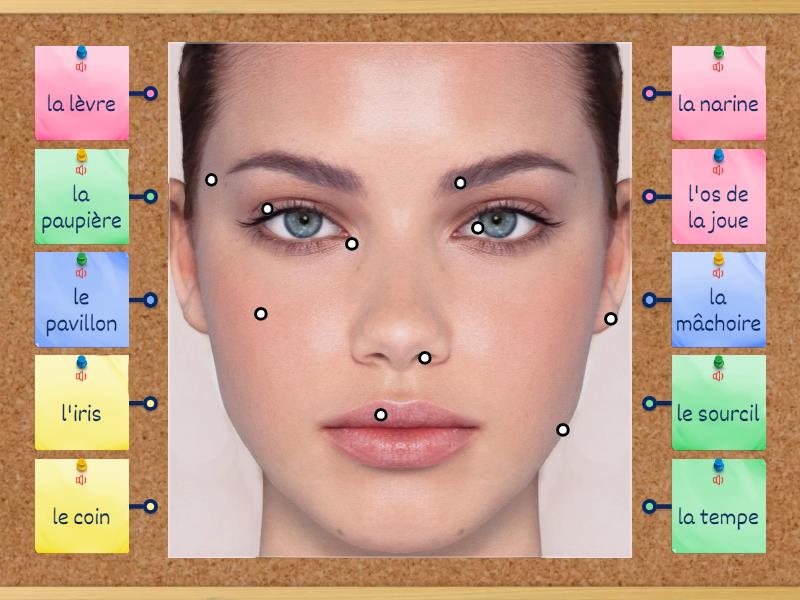 Le visage: vocabulaire - Labelled diagram