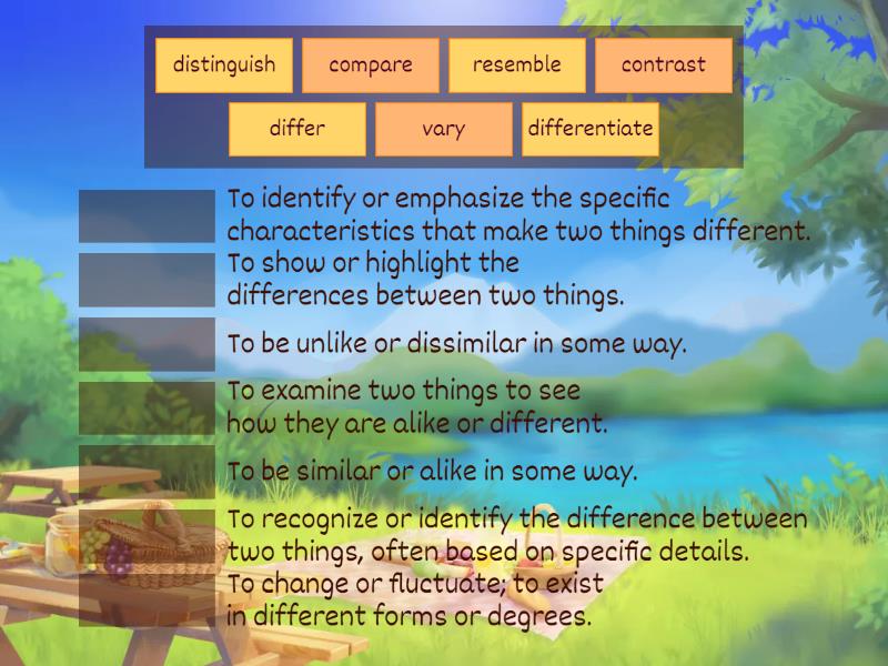 Similarities and differences 3 - Match up