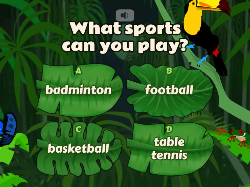 Grade 3 Sports Listening - Quiz