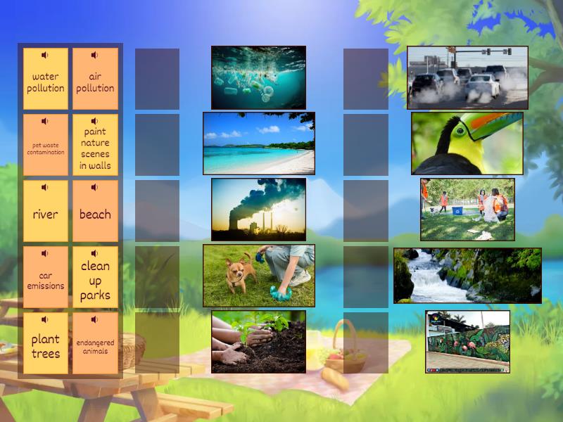 Vocabulary part 2 protecting the environment - Match up