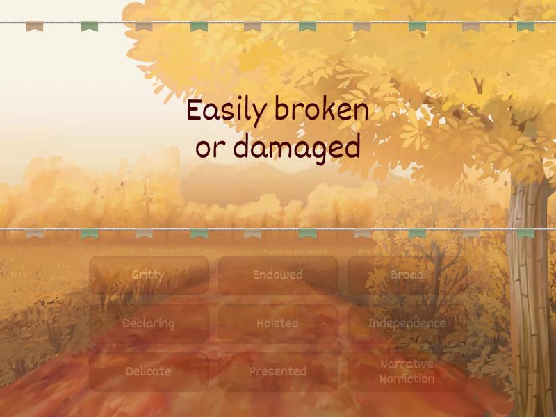 The Flag Maker HMH Vocabulary - Find the match