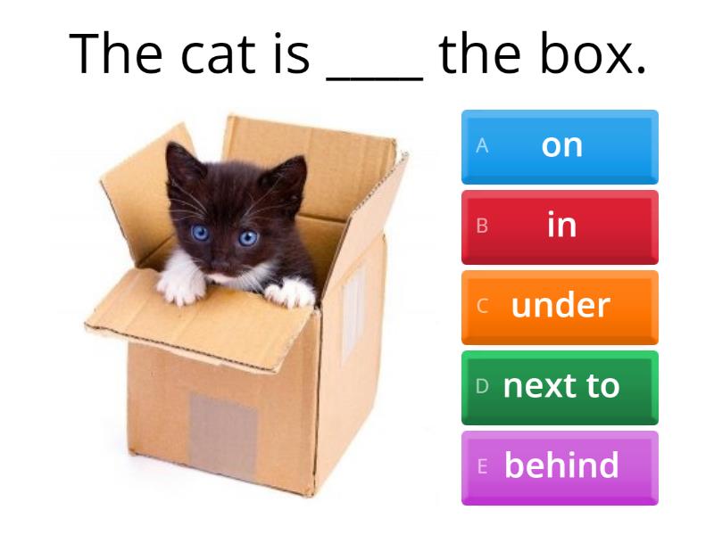 Prepositions of place | Where are the animals? - Quiz