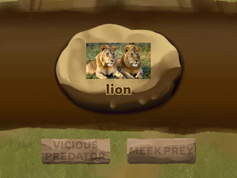 Zootopia p1 prey / predator - True or false