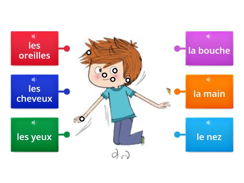 Les parties du visage - Labelled diagram