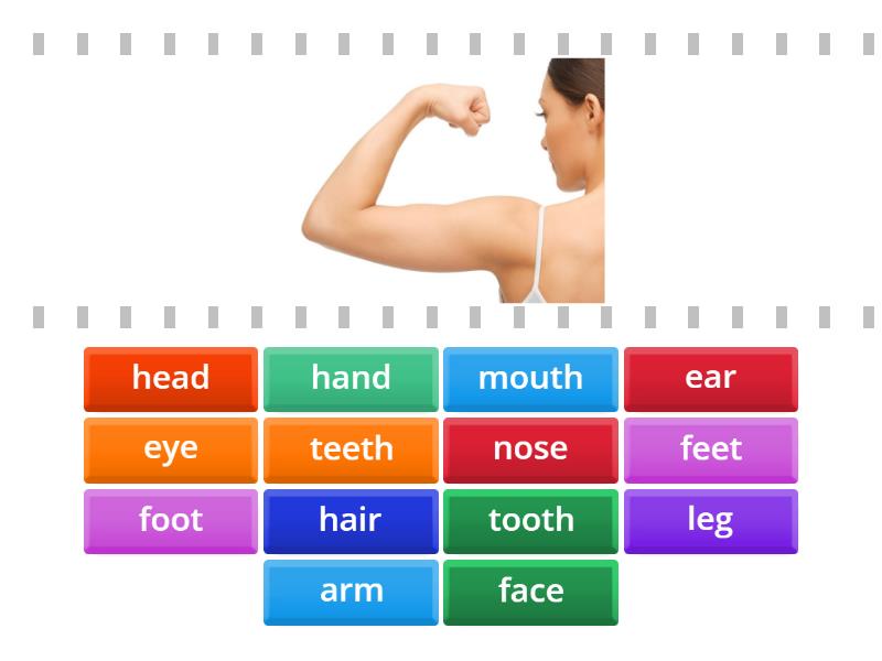 Prepare 5 NUS. Unit 5. Body parts - Find the match
