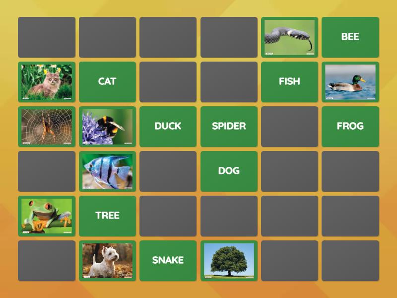 BEEHIVE UNIT 4 MEMORY GAME - Parejas