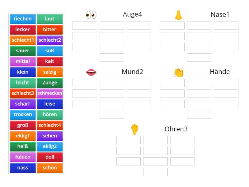5 sinne - Group sort