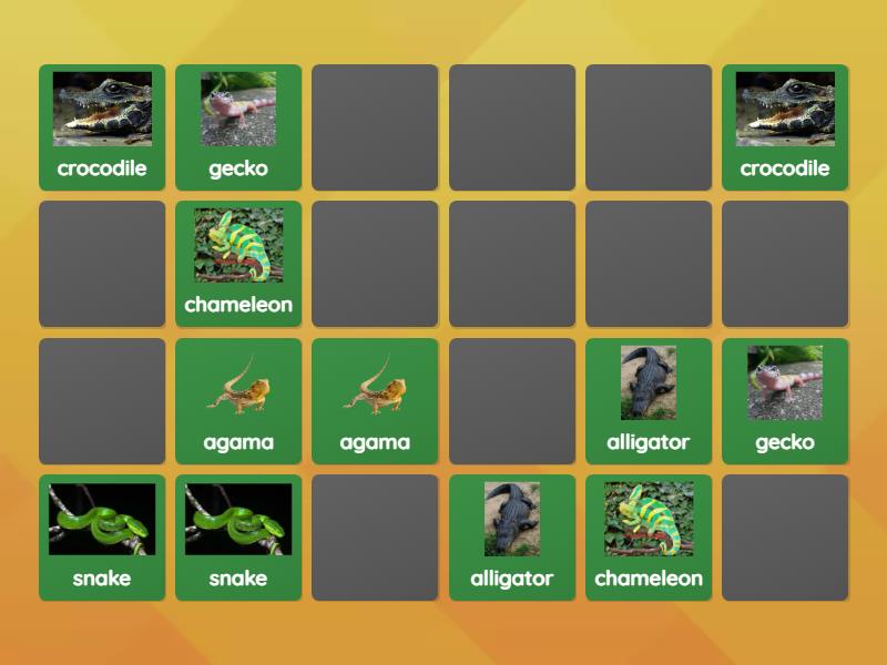 REPTILES - Matching pairs