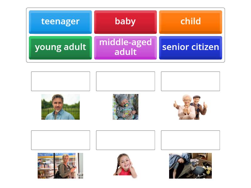 Stages of life - Match up