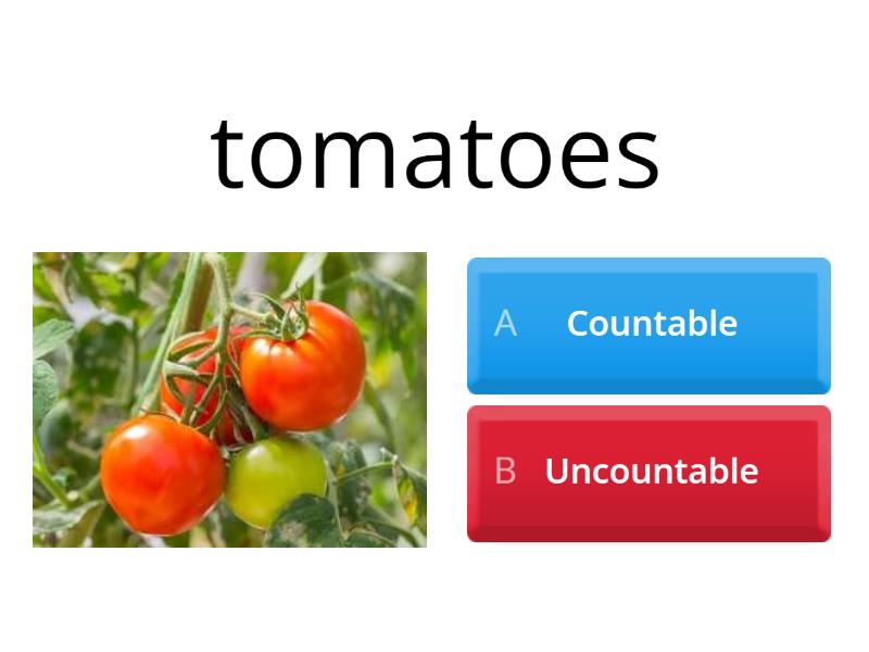 2B Unit 5 Countable and Uncountable Nouns - Quiz