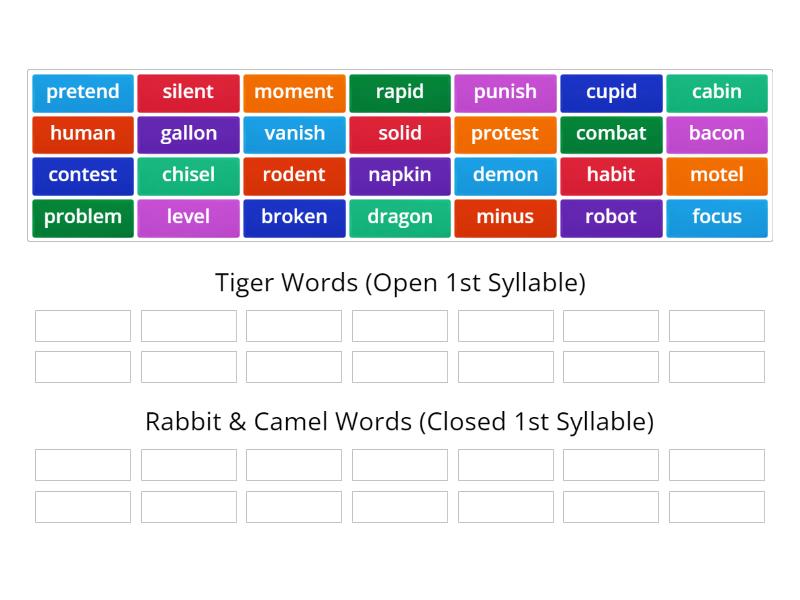 Rabbit & Camel VS. Tiger - Group sort