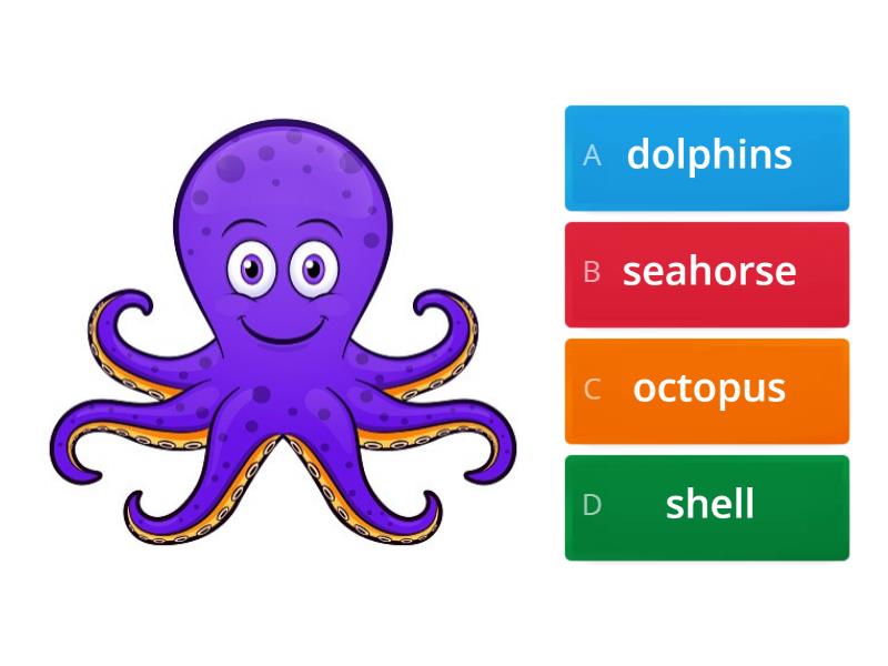 sea creatures - Quiz