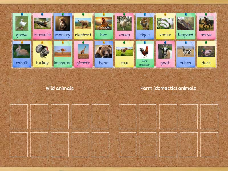 Farm and wild animals - Group sort
