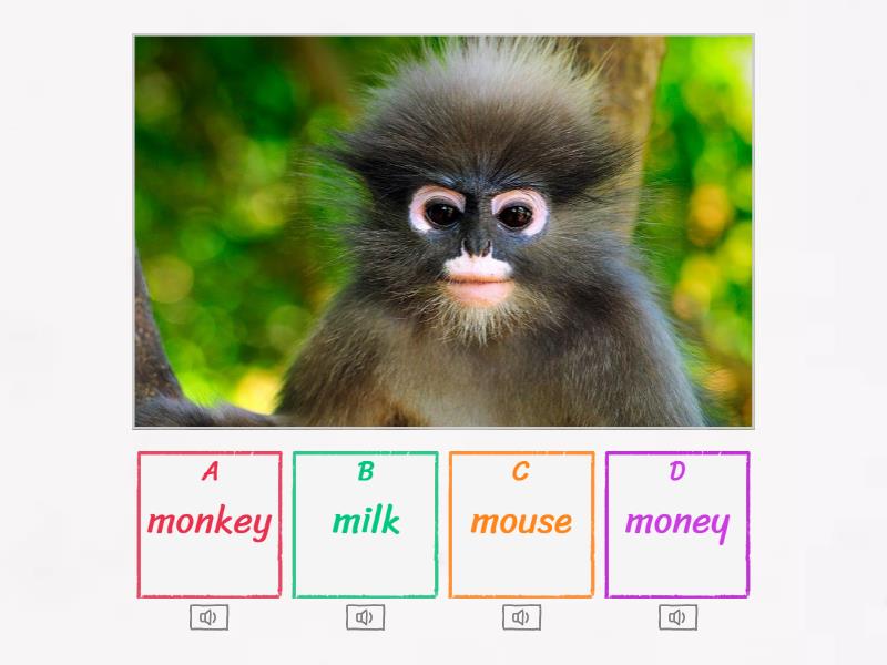 Oxford Phonics (m) - Quiz