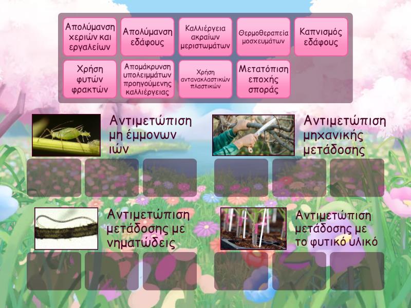 Κύριοι τρόποι αντιμετώπισης Φυτικών Ιών - Group sort