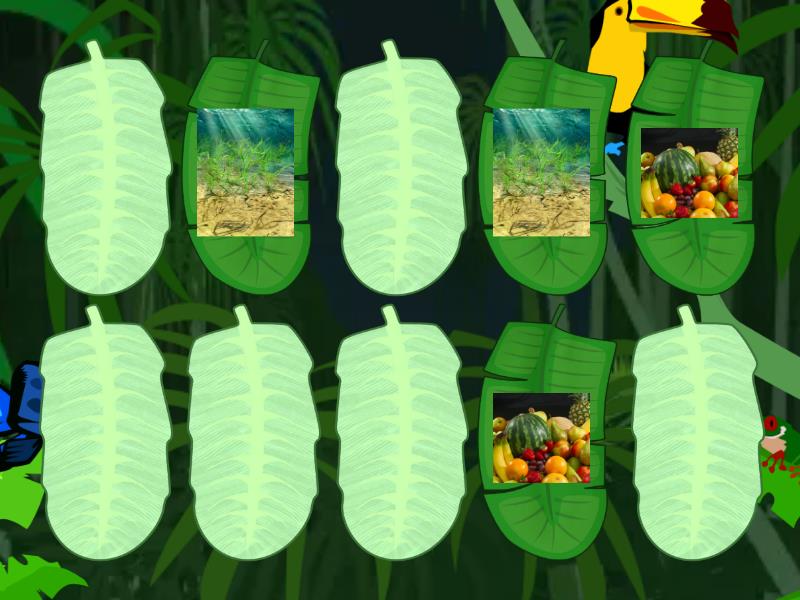 Piante semplici e piante complesse - Matching pairs