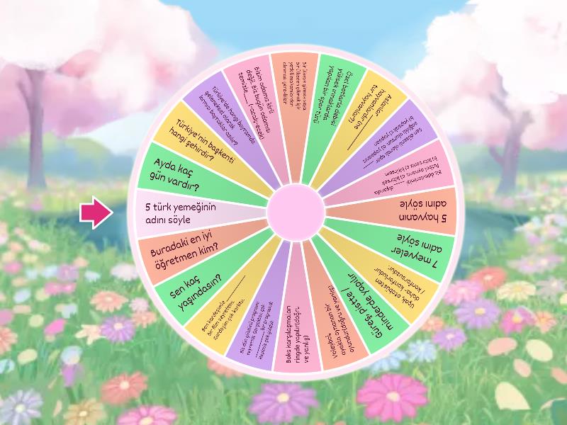 TURKISH - Spin the wheel