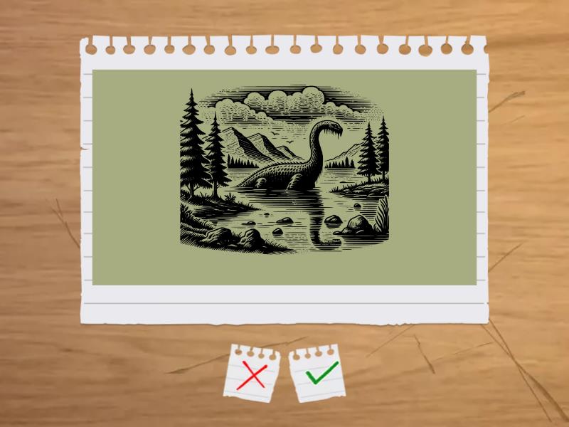 Scottish words - Flash cards