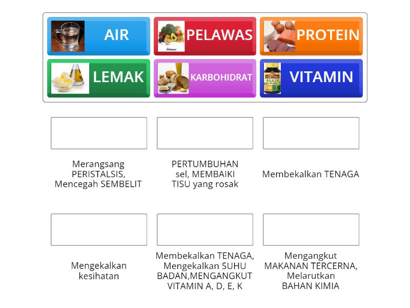 Sains Tingkatan 2 Nutrisi Match Up