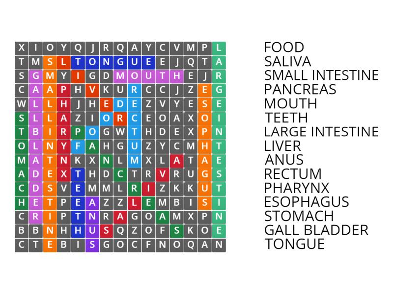 DRILL: Tummy Puzzle - Wordsearch