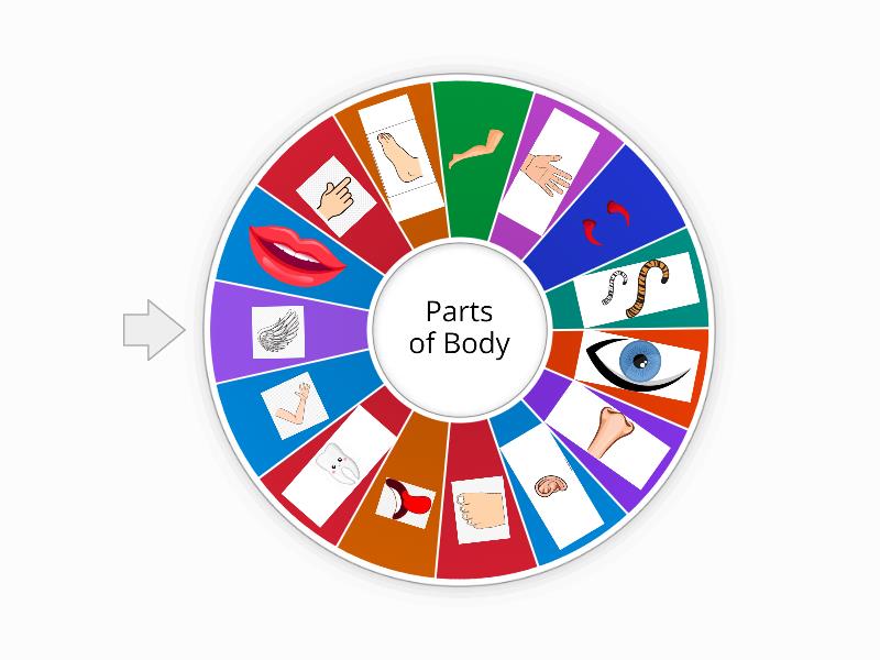 Parts of Body - Spin the wheel