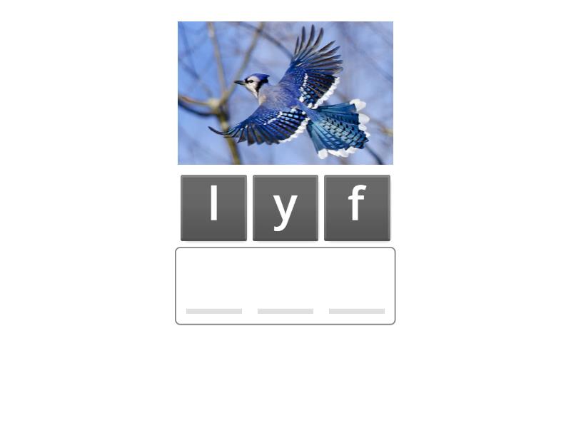 Revision: Action Verbs (Spelling) - Anagram