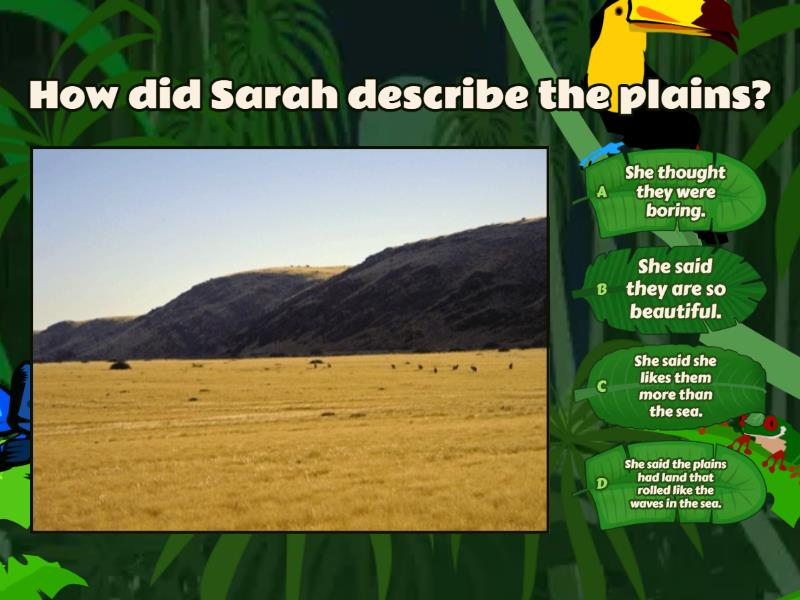 Sarah Plain and Tall - Practice Quiz - Cuestionario
