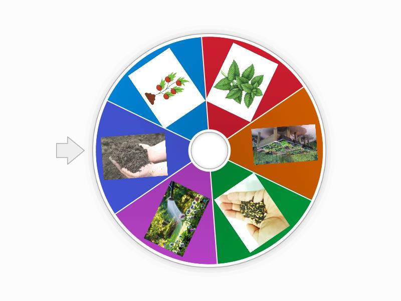 My school garden - Spin the wheel