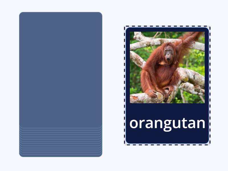 Zoo Animals 2 - Speaking cards