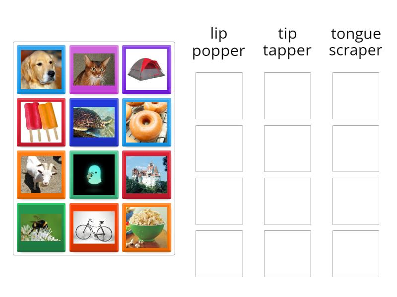 LiPS Beginning Sound Sort # 1.7 - Group sort