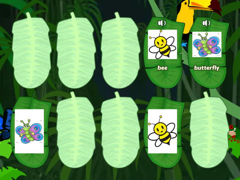 Bug Memory Game Matching Pairs