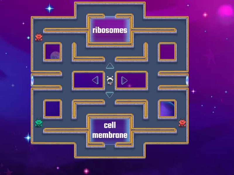 cells glossary - Maze chase