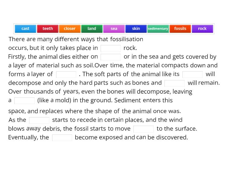 Fossils - Complete the sentence