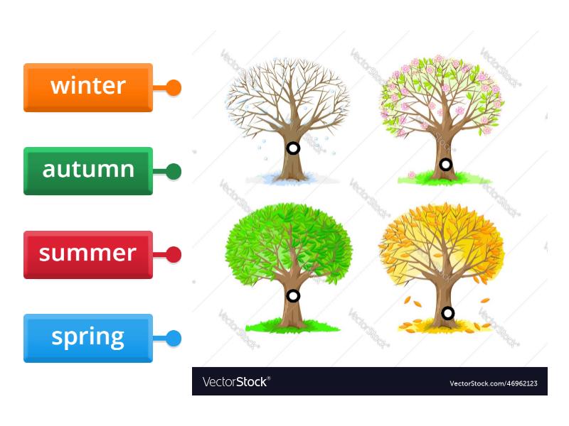 seasons - Labelled diagram