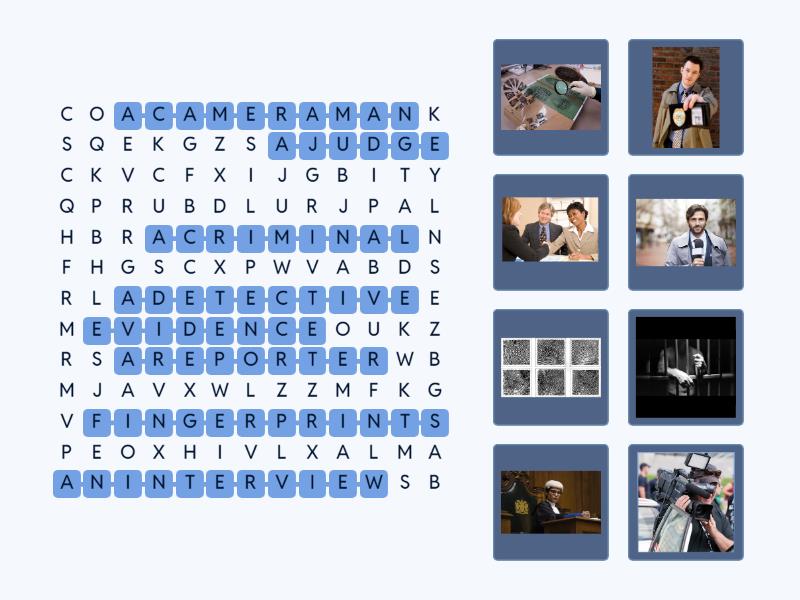 pup6-unit-7-law-crime-wordsearch