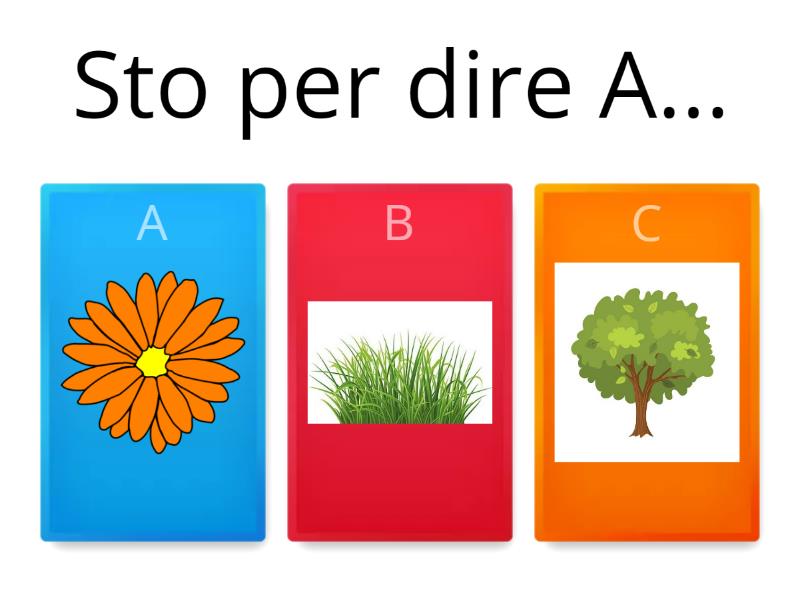 Indovina cosa sto per dire - Quiz
