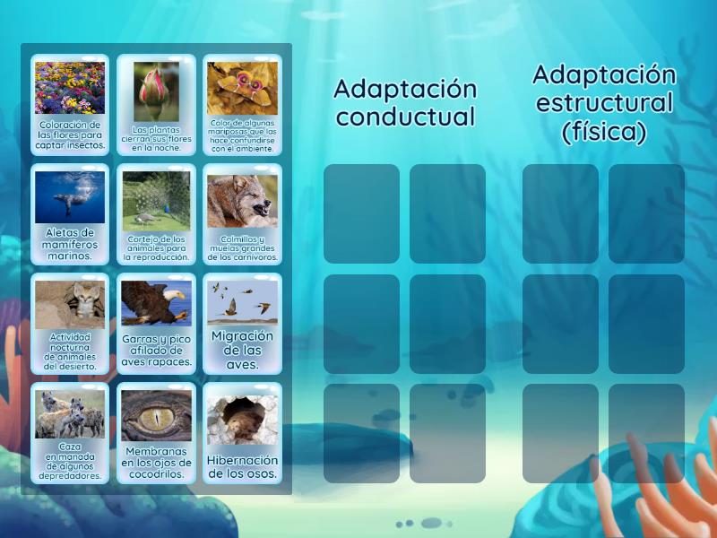 Adaptaciones de los seres vivos - فرز المجموعات