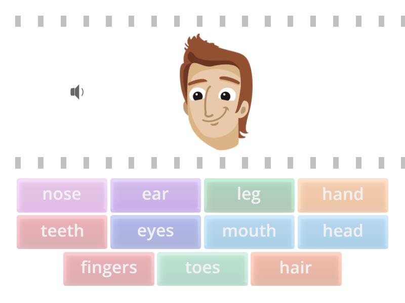 Body Parts - Find the match