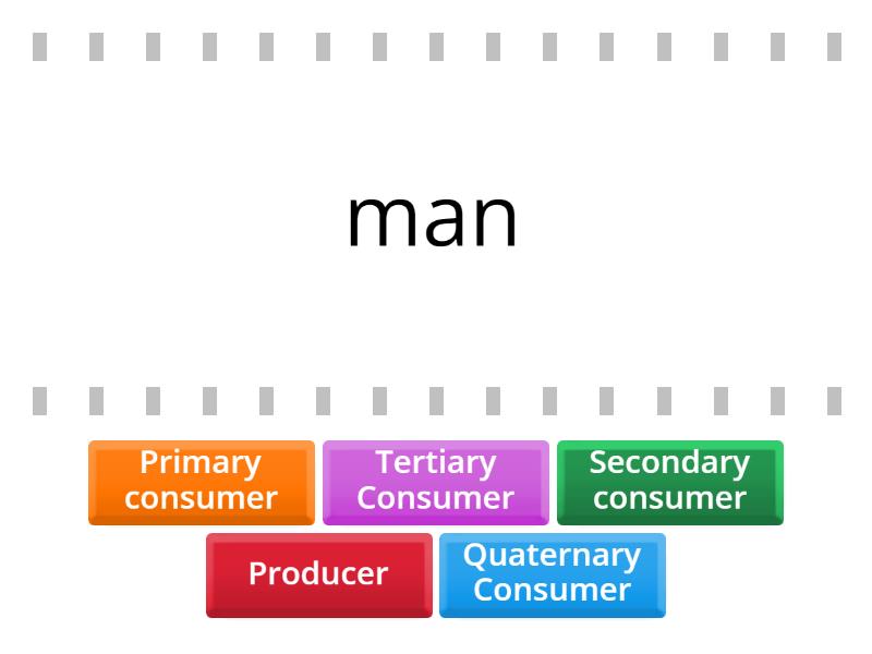 Trophic Levels Quiz - Find the match