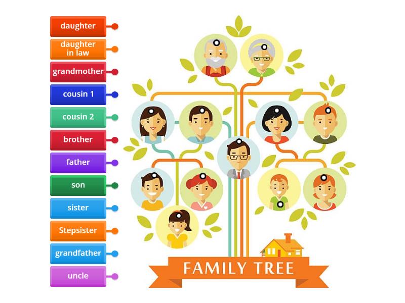 Marimba - Family tree - Labelled diagram